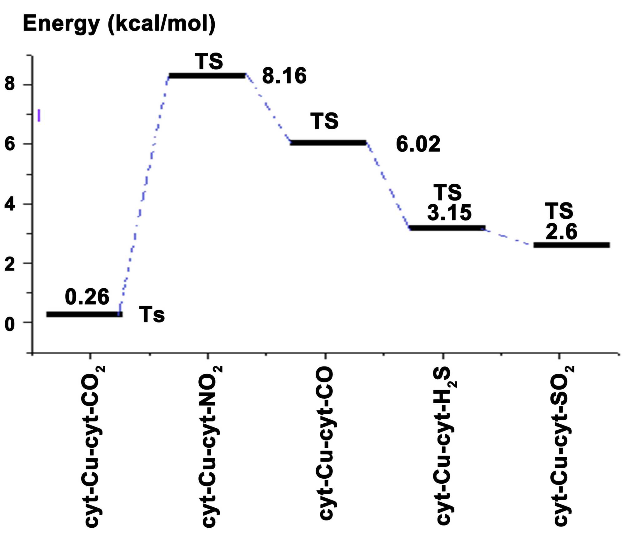 DNA Base Pairs Sensors: DFT, QTAIM and NCI-RDG Study