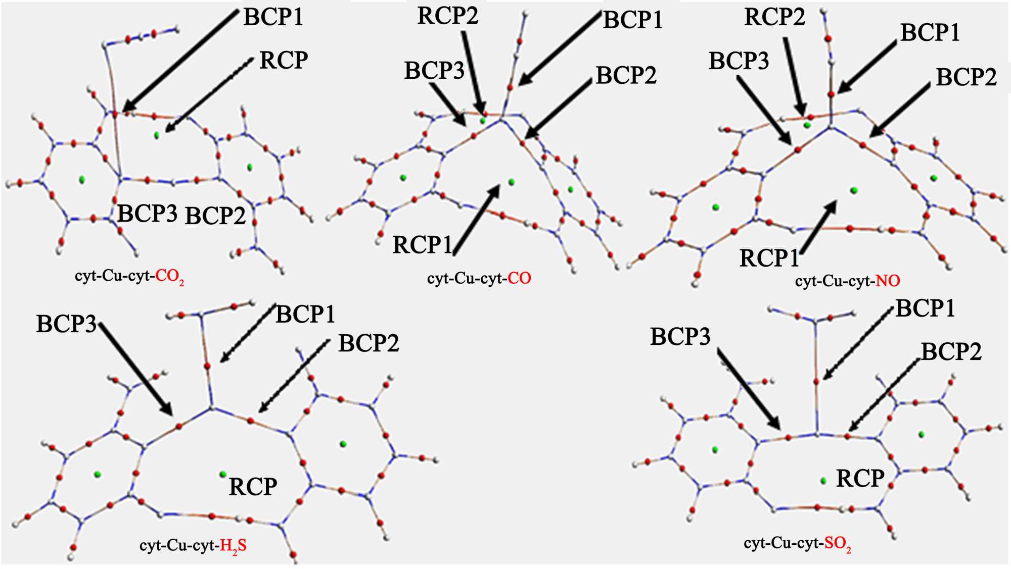 DNA Base Pairs Sensors: DFT, QTAIM and NCI-RDG Study