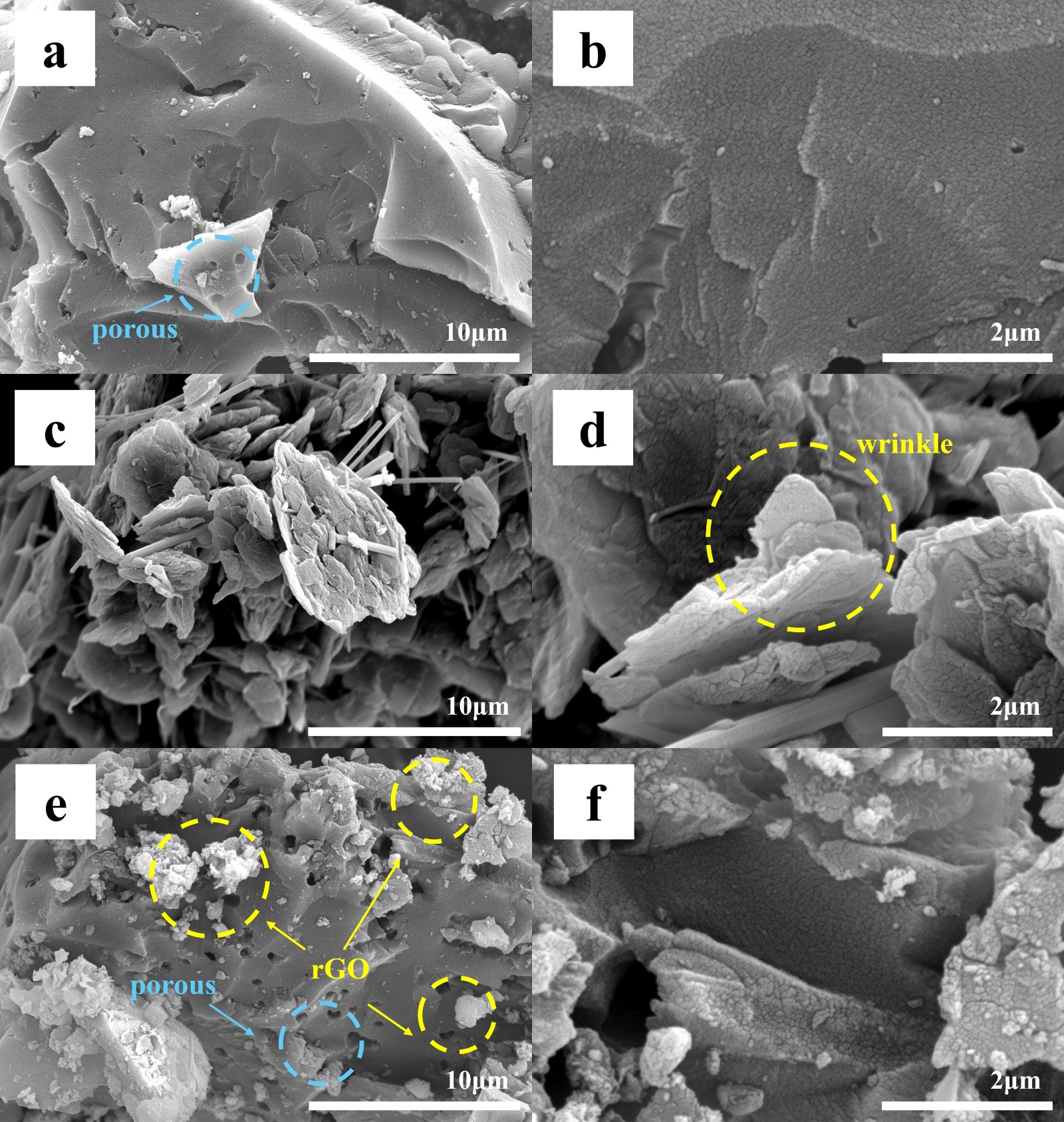 Morphological, Elemental Composition and Structural Analysis of Novel ...