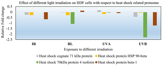 Proteomic Alterations in Human Dermal Fibroblasts under Photo-Induced ...