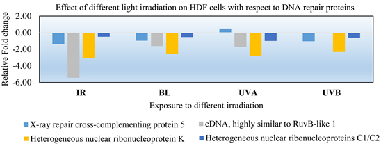 Proteomic Alterations in Human Dermal Fibroblasts under Photo-Induced ...