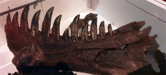 On Dinosaur Reconstruction: The Head