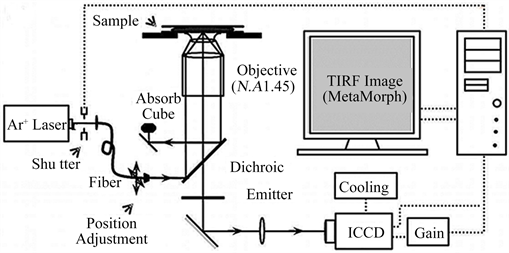 Application of TIRFM in Biomolecule Research and Clinical Medicine