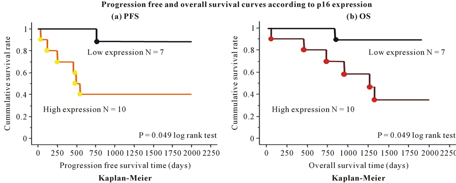 Immunohistochemical Analysis of p16 Expression in Uterine Smooth Muscle ...