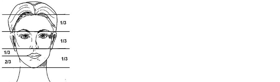 A Therapeutic Concept by “Watted” for the Surgical Lengthening of the ...