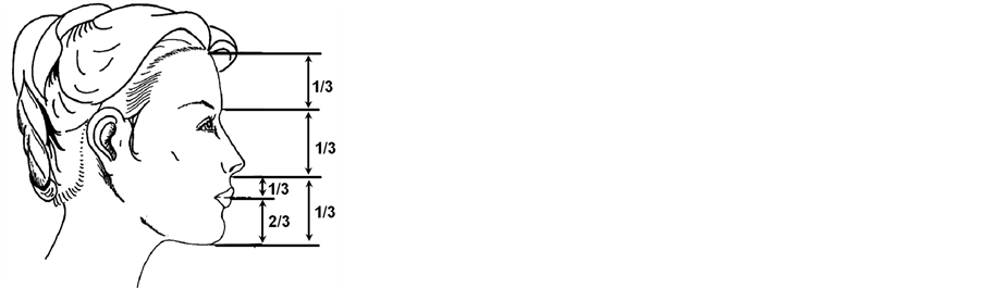 A Therapeutic Concept by “Watted” for the Surgical Lengthening of the ...