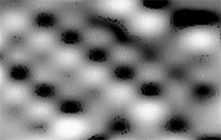 The Whole Theory of This Universe—A Step Forward to Einstein