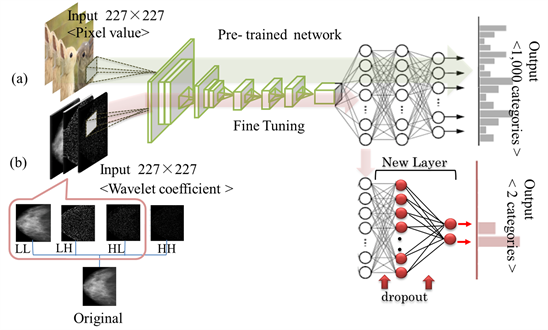 Using A Wavelet Based And Fine Tuned Convolutional Neural Network For Classification Of Breast
