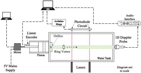 Quality Assuring a Ring Vortex Flow Phantom in Real-Time