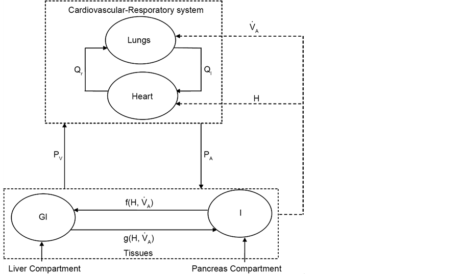 Perturbation-Iteration Method for Solving Mathematical Model of Glucose and Insulin in Diabetic ...
