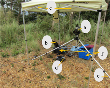 A Comparative Study of Two Tree-Based Models for Predicting Flyrock ...