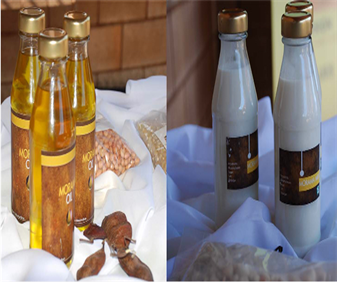 Domestication of Marama Bean in Arid Namibia: Challenges and ...