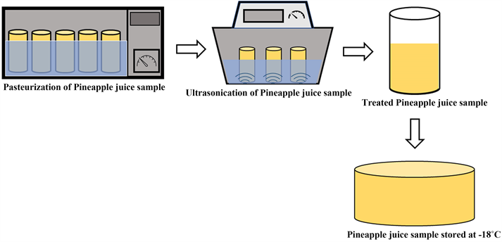 Effect of Ultrasound and Thermal Pasteurization on Physicochemical ...