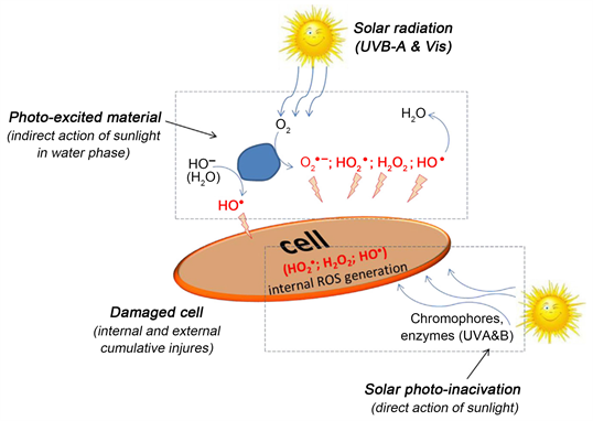 Solar-Driven Water Treatment: New Technologies, Challenges, and Futures