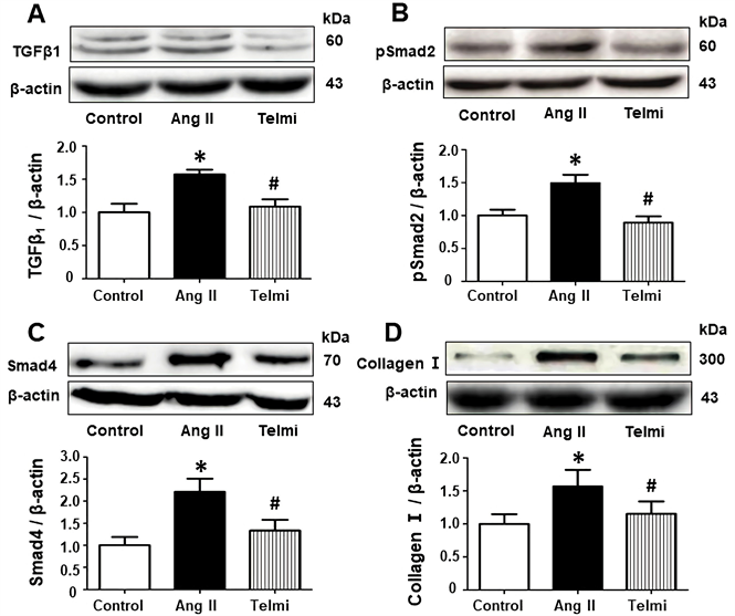 Antagonism of Angiotensin II AT1 Receptor and Silencing of CD44 Gene ...