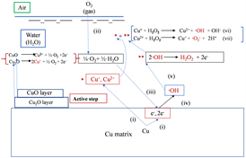 Evaluation of Reactive Oxygen Species (ROS) Generated on the Surface of ...