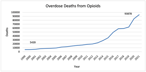 The Impact of Opioid Drugs on Memory and Other Cognitive Functions: A ...