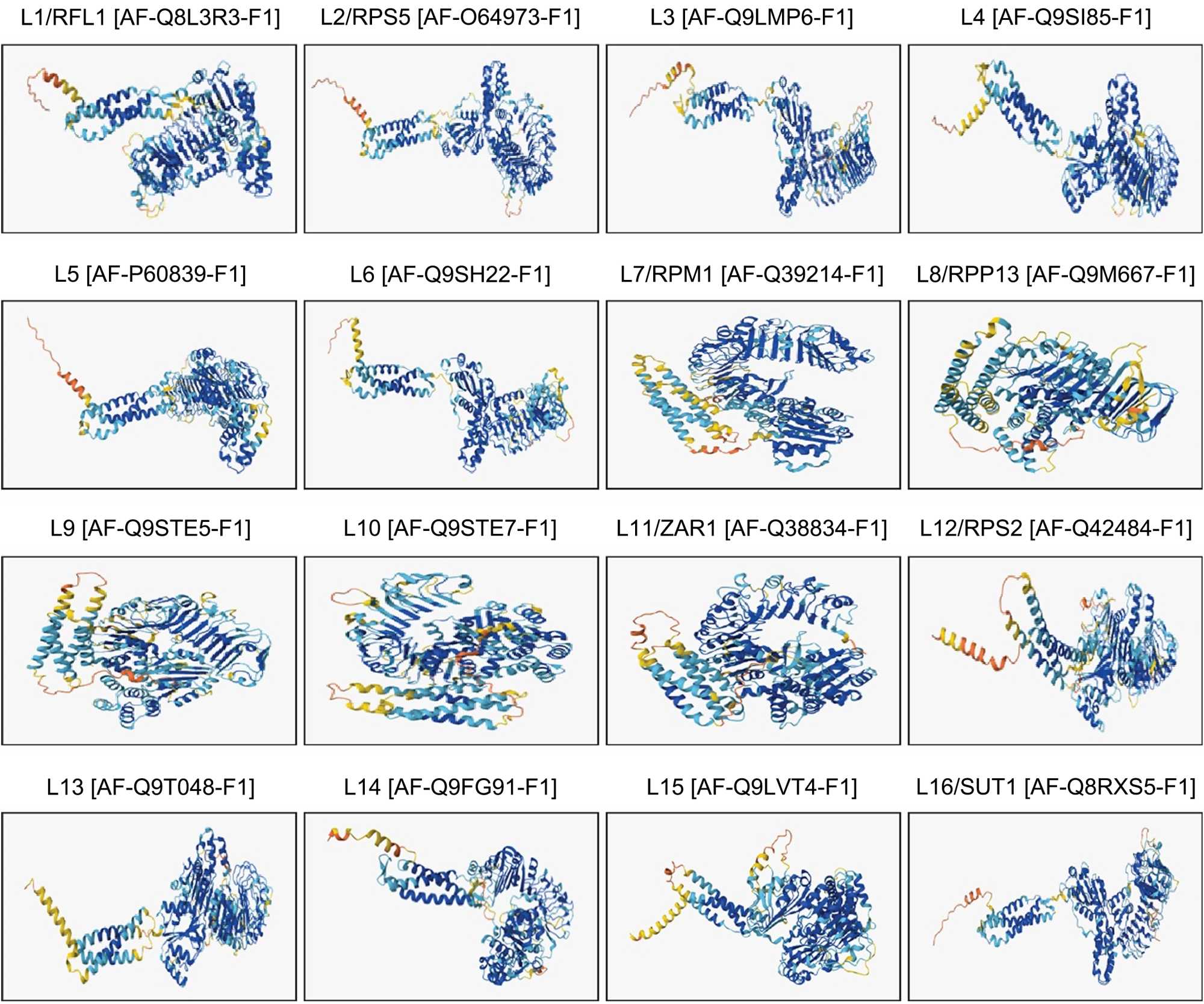 Dissecting Multiple Arabidopsis CC-NBS-LRR Proteins Structure and ...