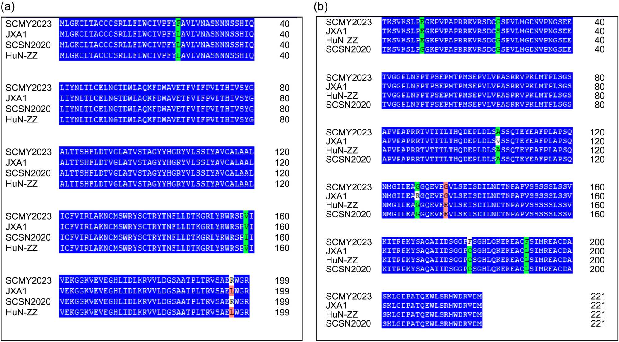 Recombination and Mutation of a New Chinese Strain of HP-PRRSV SCMY2023
