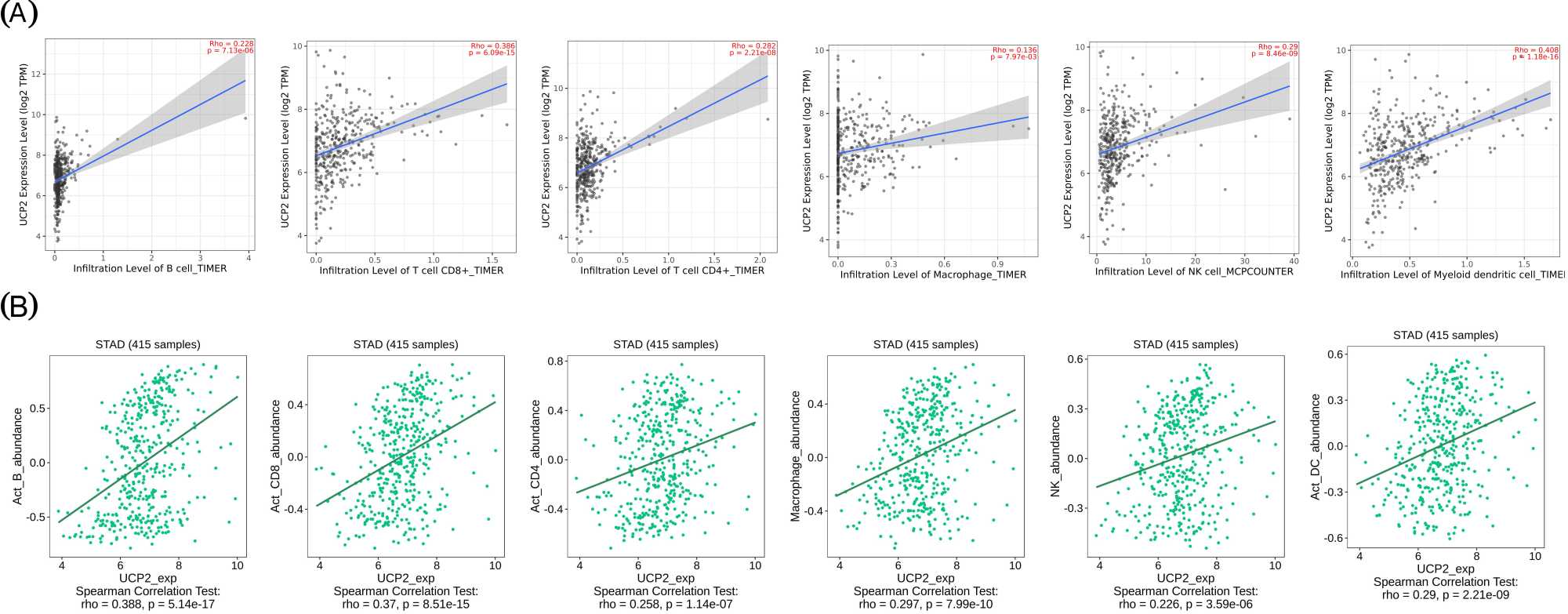 Study on the Use of CADD Virtual Screening to Identify Natural Products ...