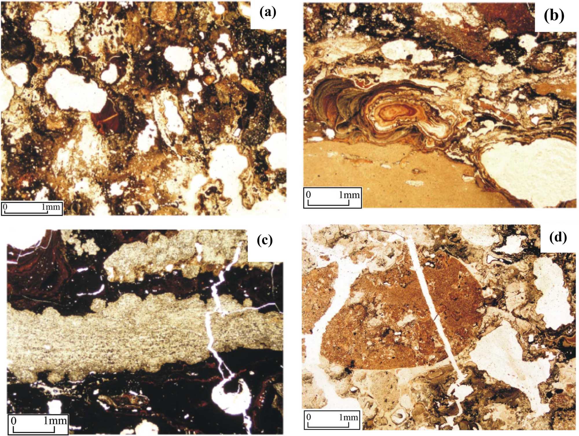 Petrographic, Mineralogical and Geochemical Characterization of the ...