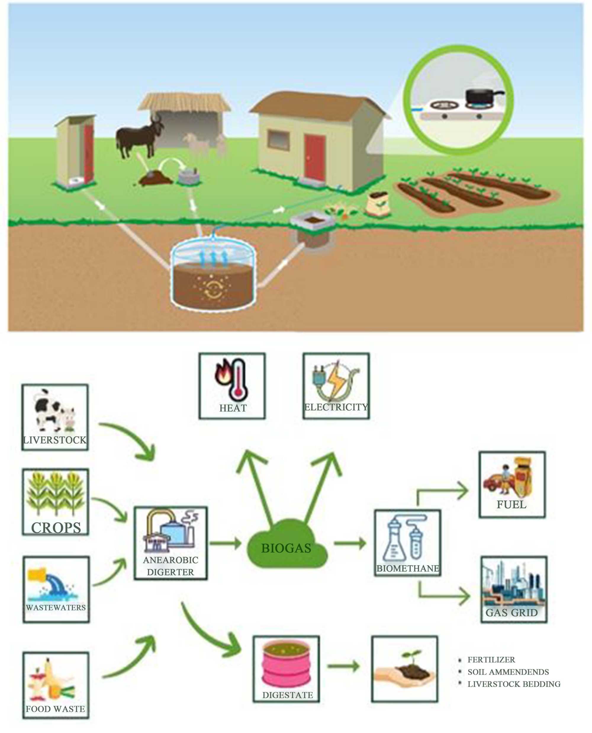 Basics of Biogas Production on the Absheron Peninsula