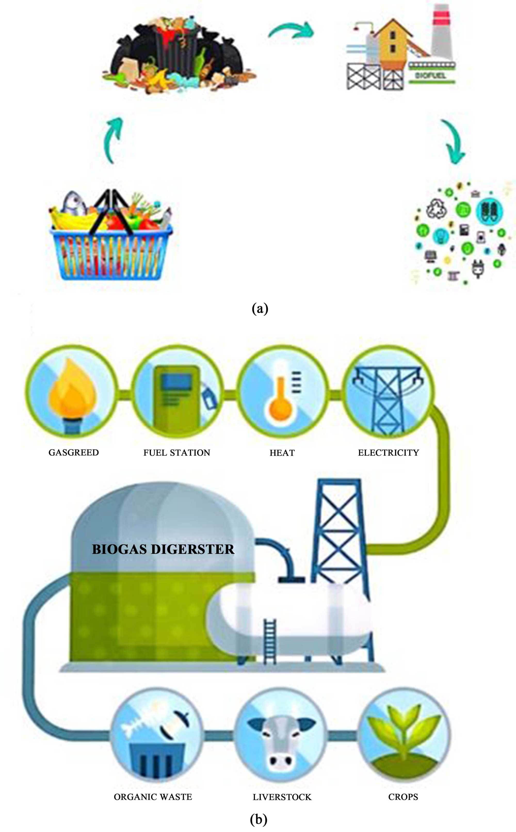 Basics of Biogas Production on the Absheron Peninsula