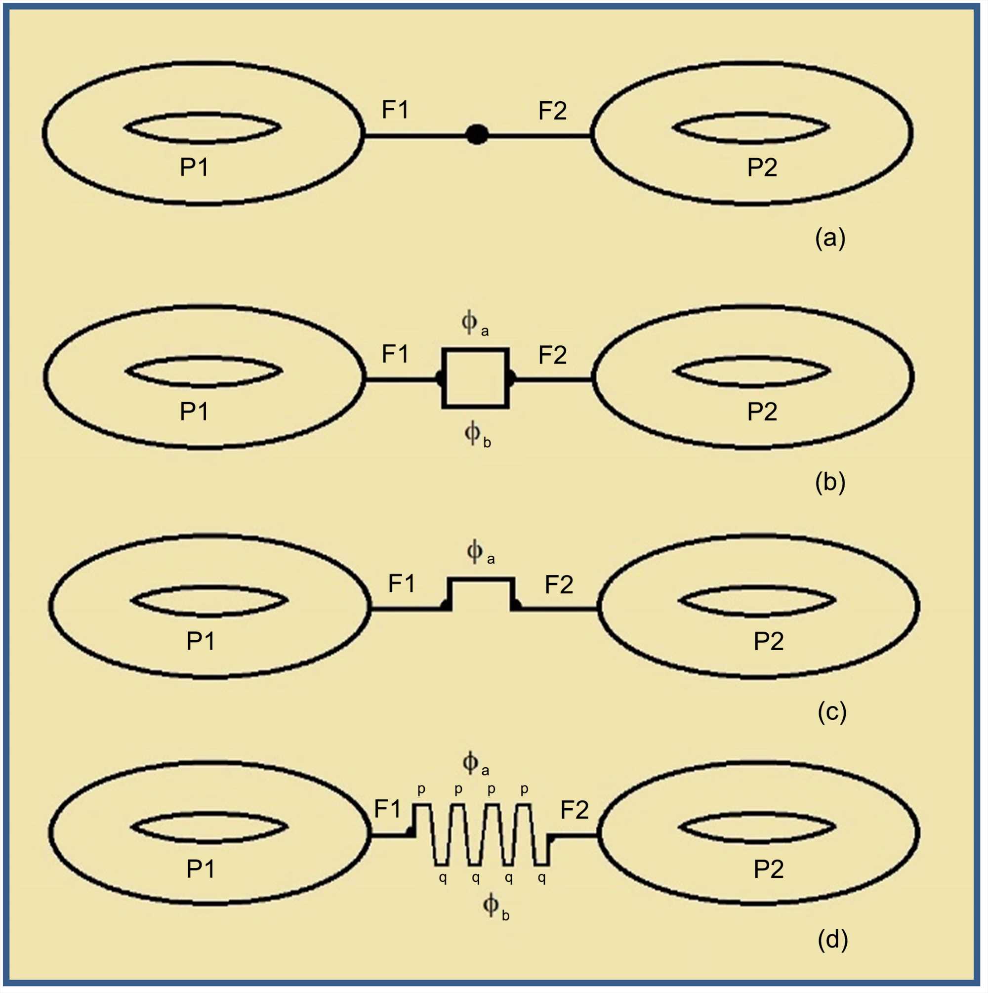 Structural Foundation and Geometry of the Material Singularity (and Its ...