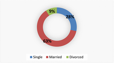 Factors Affecting the Adoption of E-Banking on Customer Satisfaction in ...