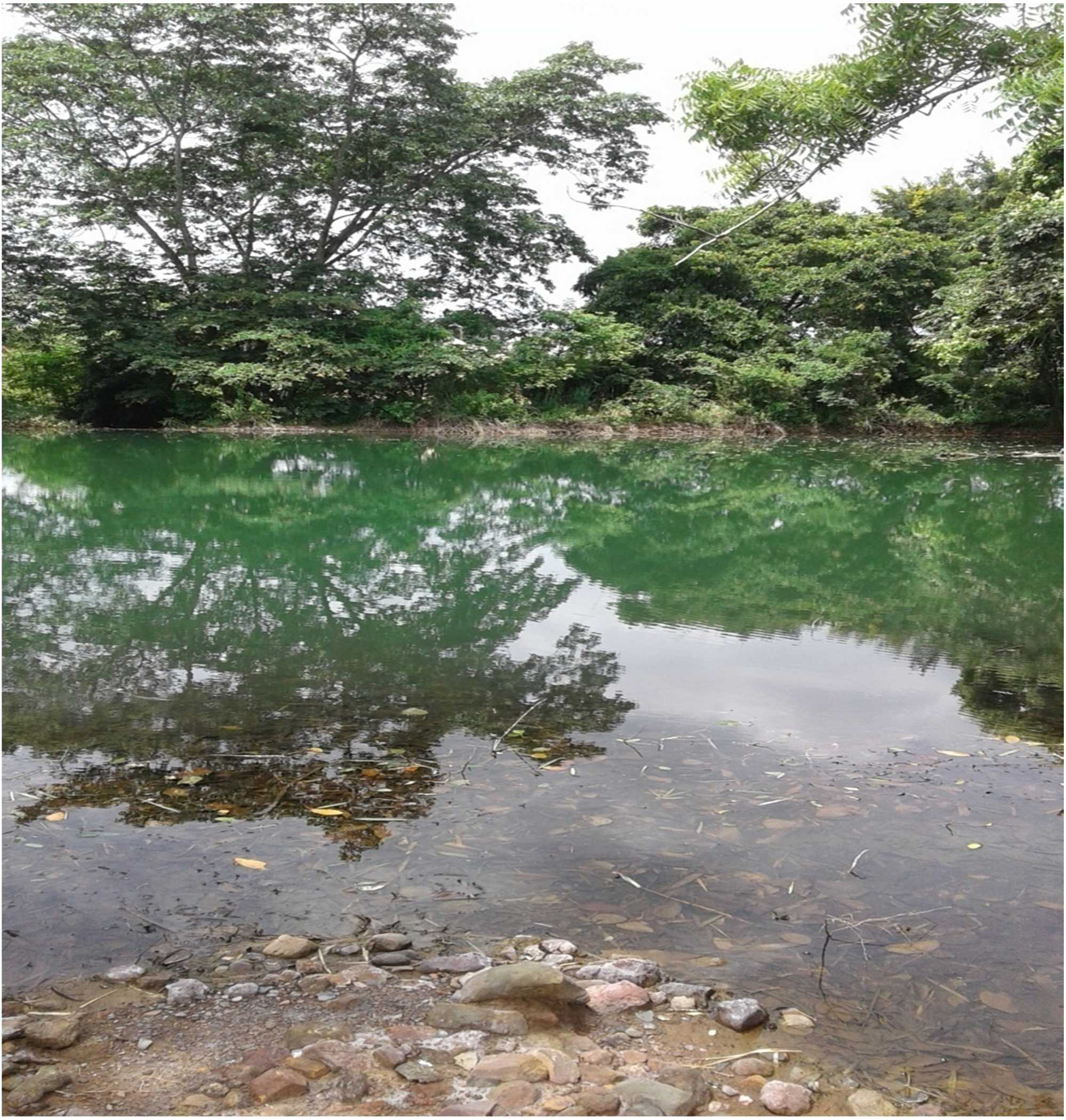 Seasonal Microbiological Dynamics of Two Salt Lakes in South-East Nigeria