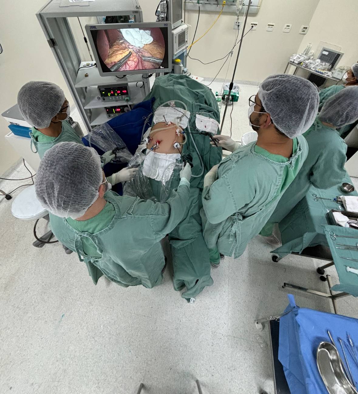 Pyloric Sympathectomy: A Novel Way to Get Pylorus Relaxation? Report of ...