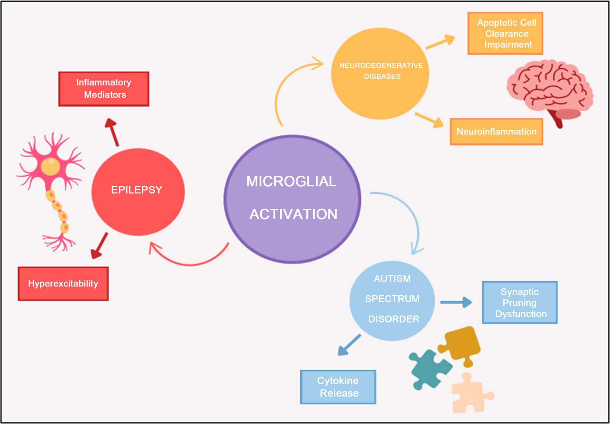 The Role of Microglia in Pediatric Neurological Disorders