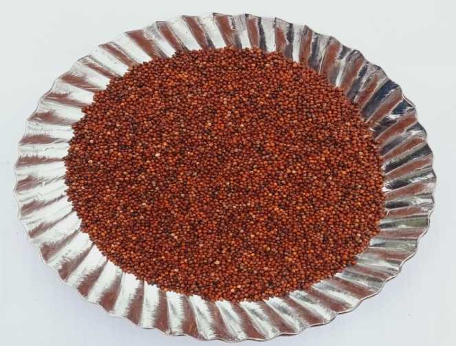 Comparative Study on Nutrition Properties of Different Types of Millet ...