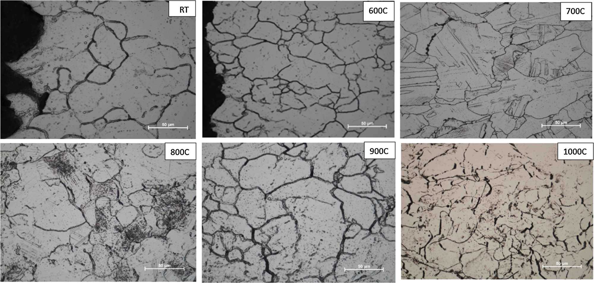 High Temperature Mechanical Properties of Additive Manufacturing CoCr ...