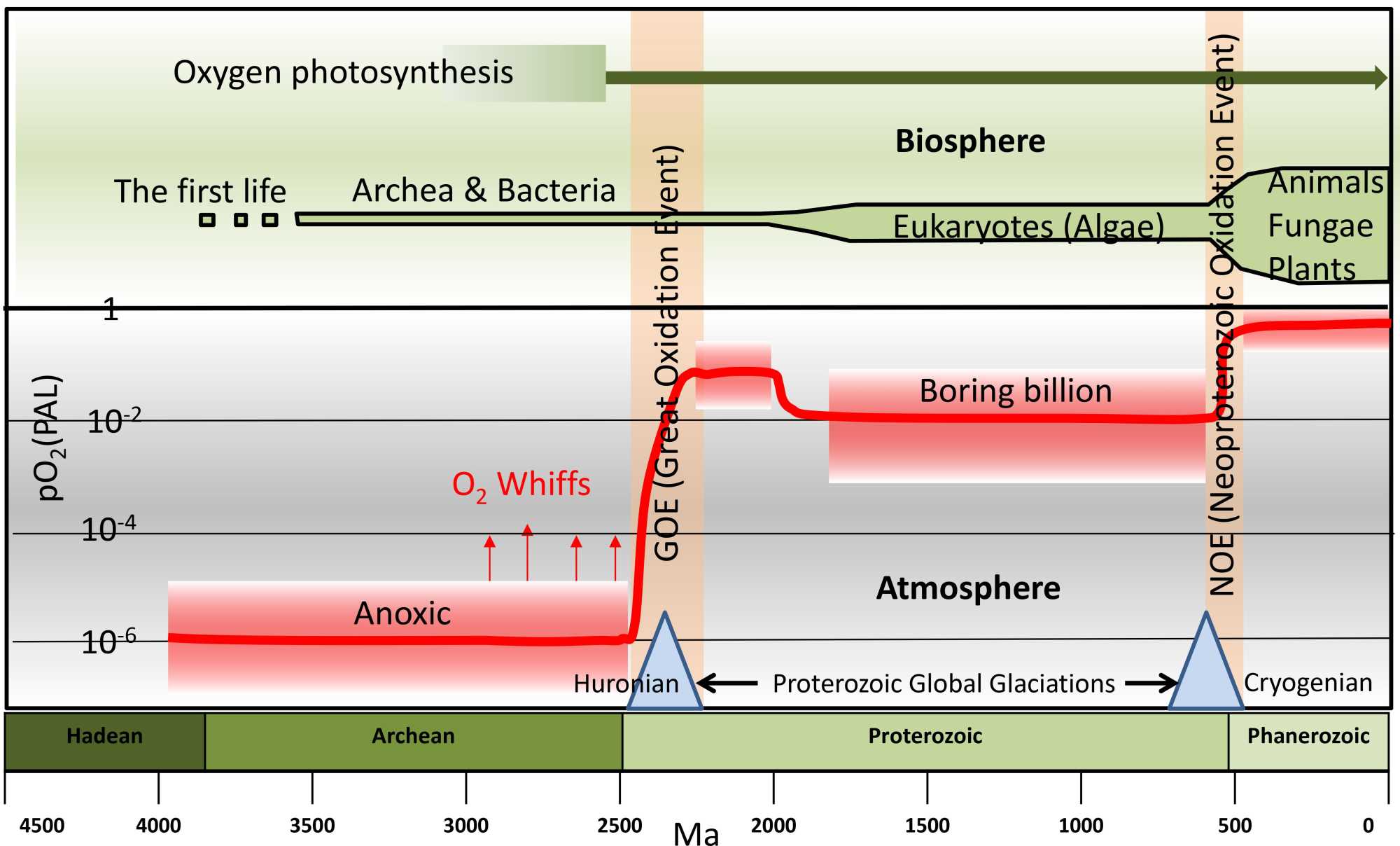 Milky Way Influenced Phanerozoic Cycles, Proterozoic Episodes, Global ...