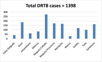 Assessment of the Indirect Cost of Drug Resistant Tuberculosis ...