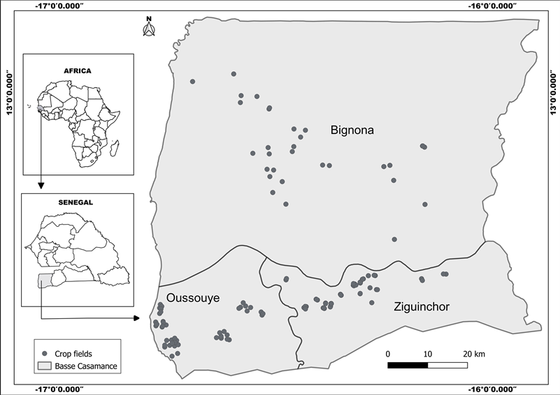 Natural Enemies and Pest Control in Field-Grown Crop in Southern Senegal