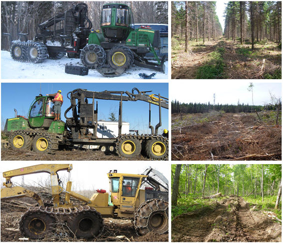 Track-Monitoring and Analyzing Machine Clearances during Wood Forwarding