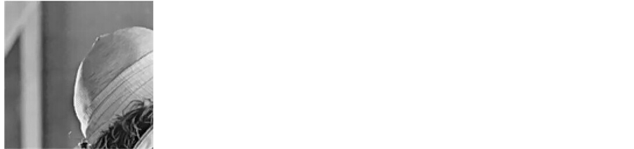 Improved Non-Local Means Algorithm for Image Denoising