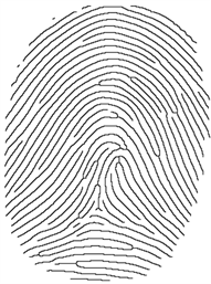 Accurate Fingerprint Enhancement and Identification Using Minutiae ...