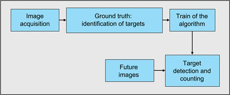 Efficient People Detection with Infrared Images