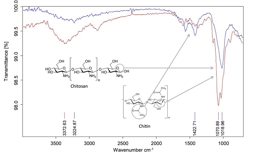 Direct Solid-State Fermentation of Soybean Processing Residues for the Production of Fungal ...