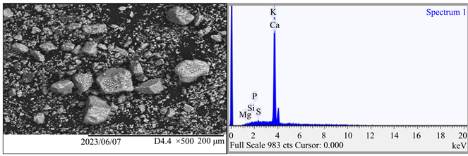 Determination of Egg Shell Structure and Mineral Composition Using SEM ...