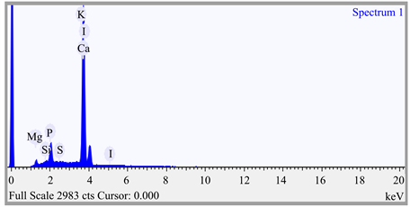 Determination of Egg Shell Structure and Mineral Composition Using SEM ...