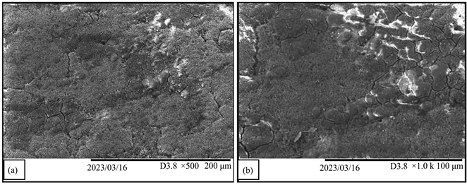 Determination of Egg Shell Structure and Mineral Composition Using SEM ...
