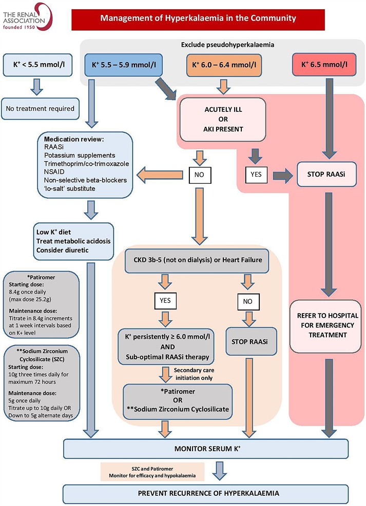 Egyptian Consensus on Hyperkalemia Management: Lessons from Recent ...