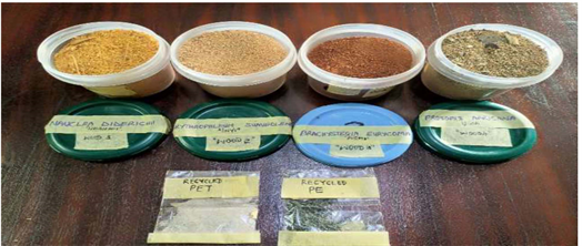 Physicomechanical Properties of Sustainable Wood Plastic Composites of ...