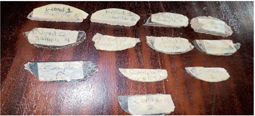 Physicomechanical Properties of Sustainable Wood Plastic Composites of ...