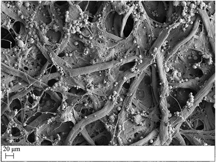 Literature Review of the Use of Zinc and Zinc Compounds in Paper-Based ...