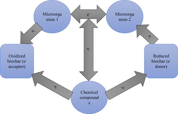 Biochar’s Electrochemical Properties Impact on Methanogenesis: Ruminal ...